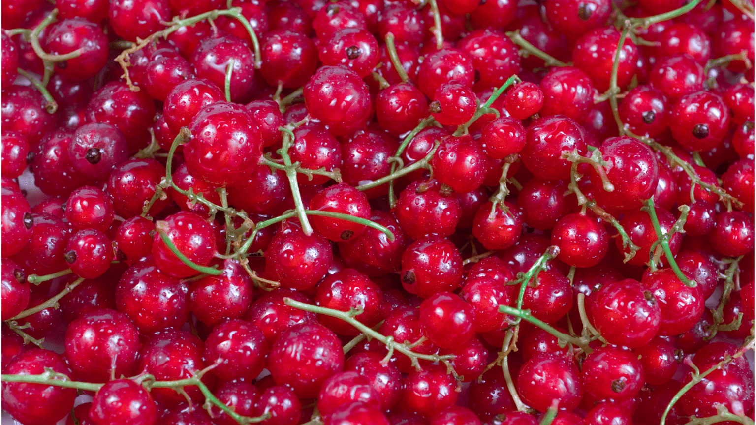 TOP 30 Red Fruits Names In English With Pictures - Hey Zeo