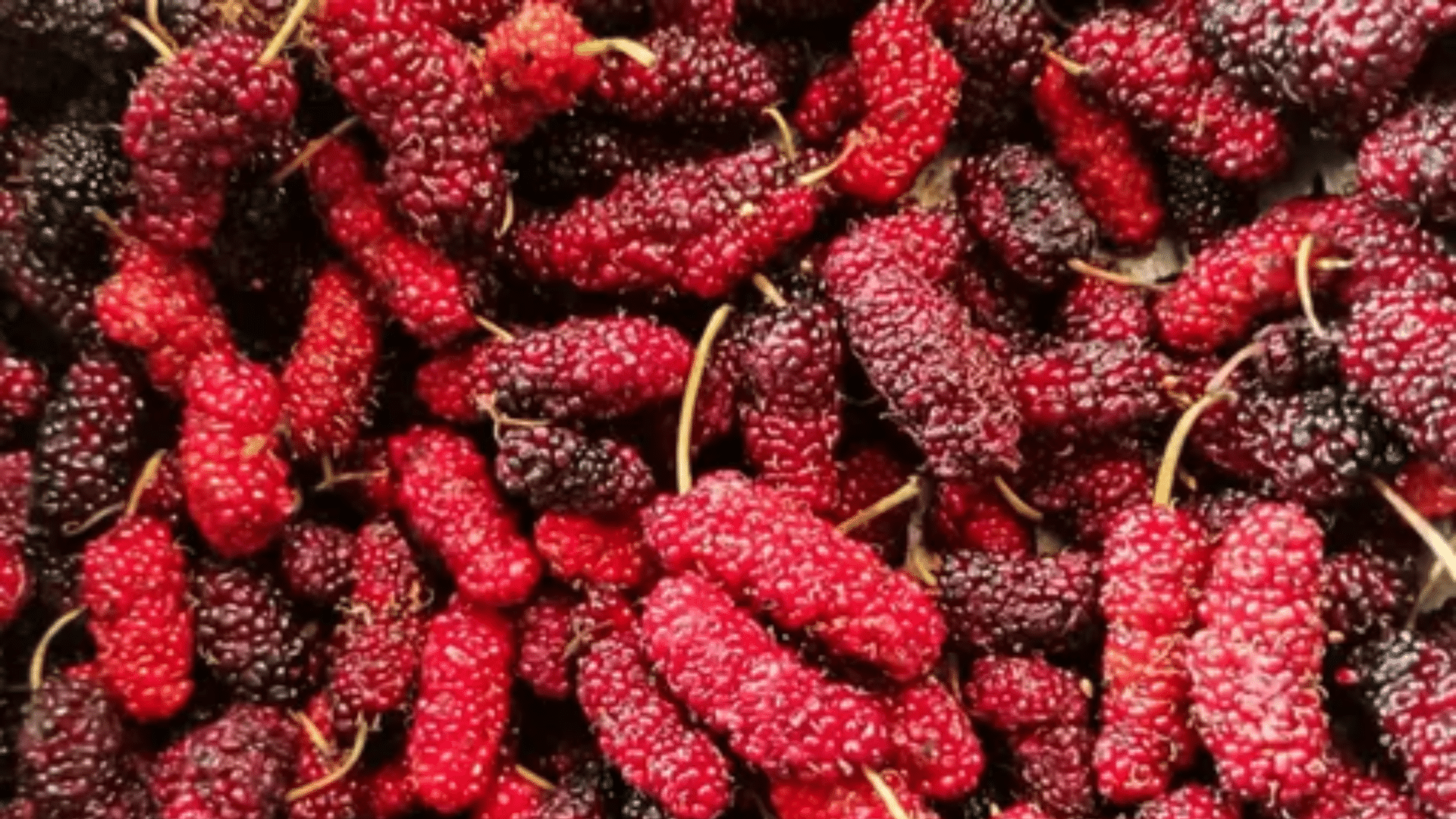 TOP 30 Red Fruits Names In English With Pictures - Hey Zeo