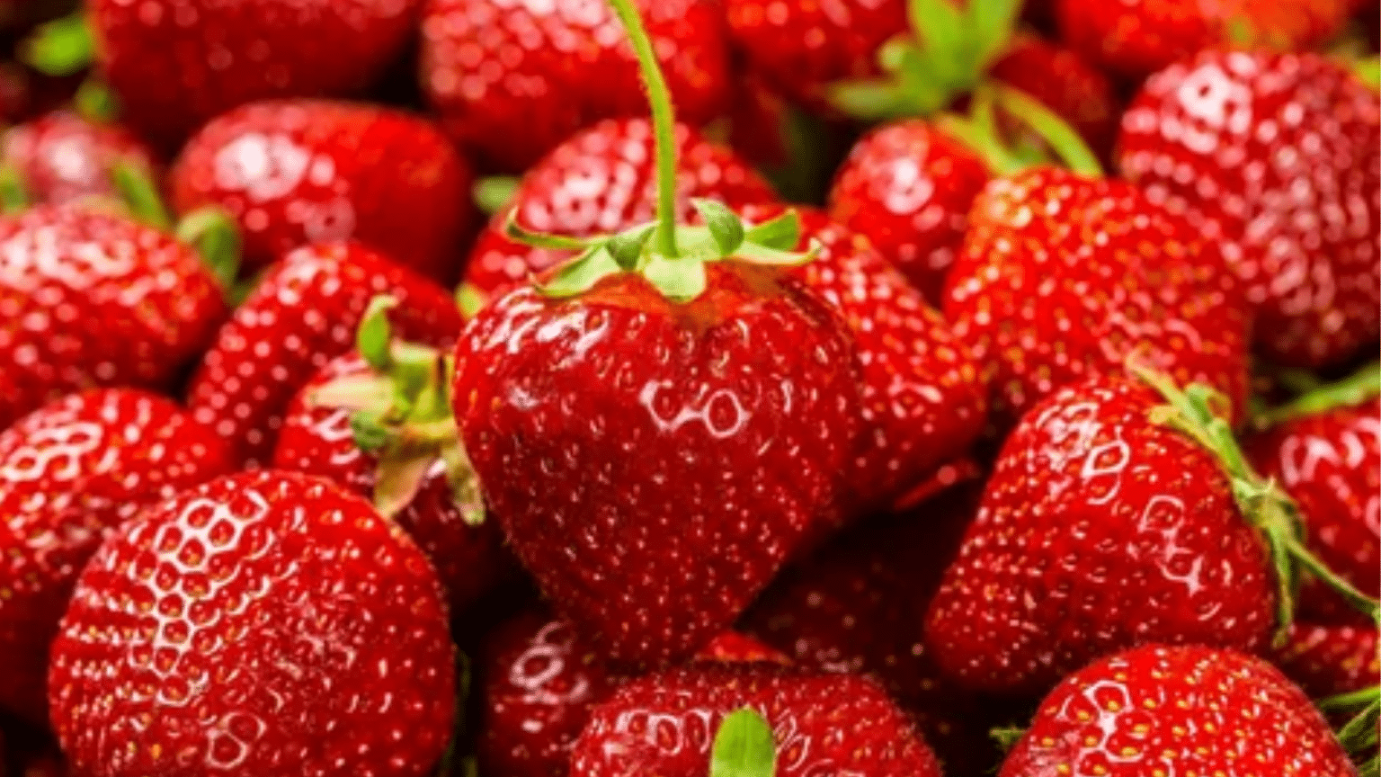 TOP 30 Red Fruits Names In English With Pictures